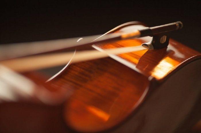 Cómo Elegir el Arco para tu Violín | El blog de las clases particulares ...