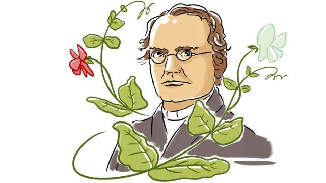 Las Aportaciones de Gregor Mendel a la Biología